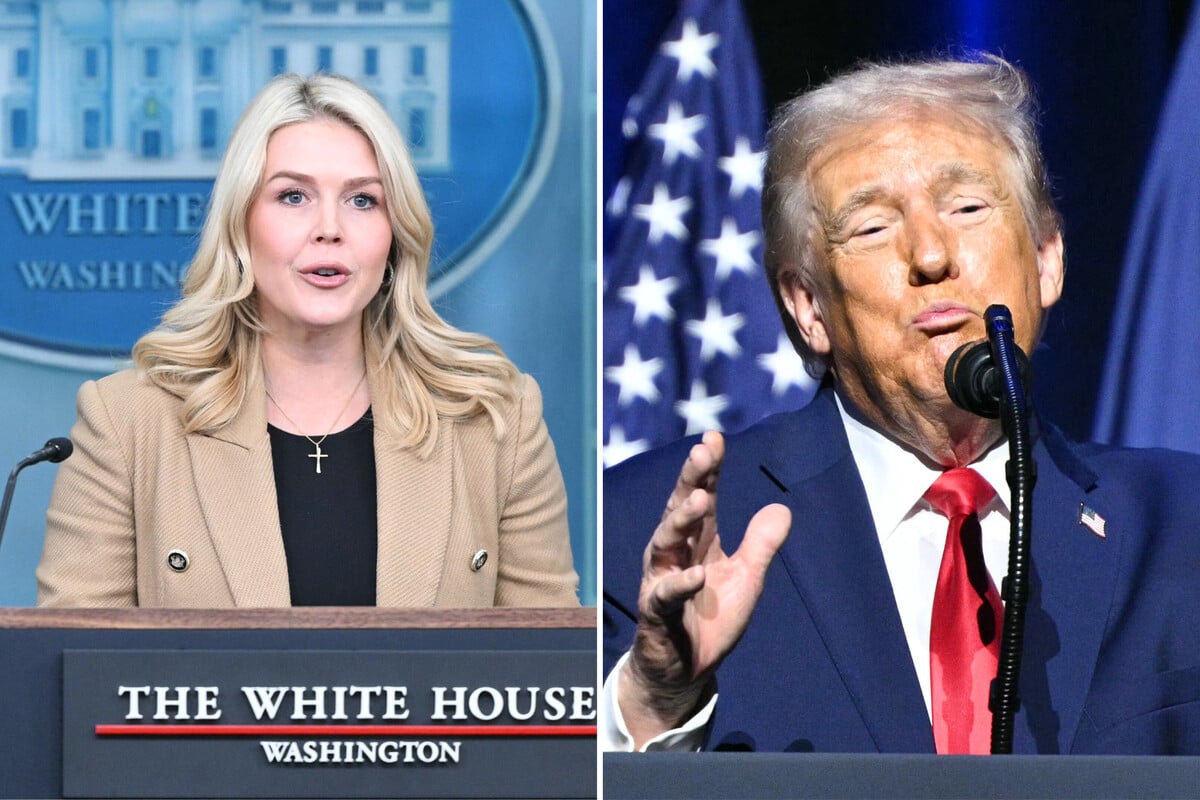 Trump says US "shouldn't even have" midterm elections