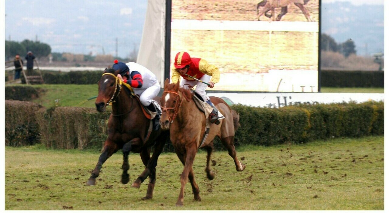 L'ippodromo delle Capannelle torna al Comune: alla Marsicana la ...