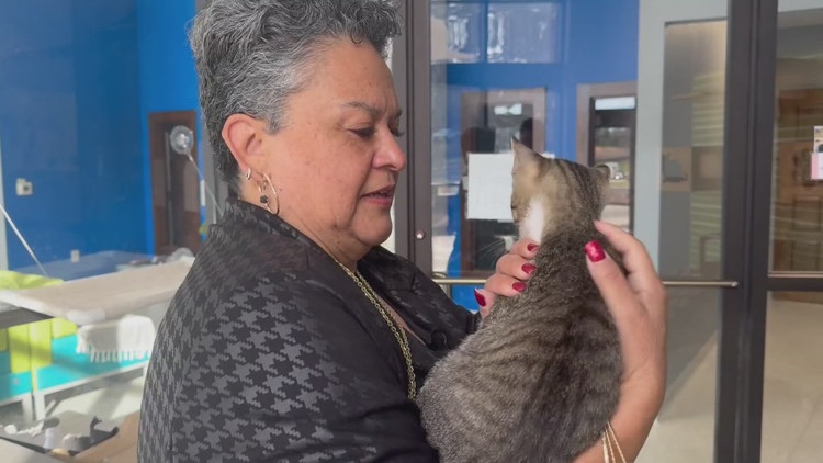 PAW IT FORWARD | East Texas women helps foster dozens of cats in need ...