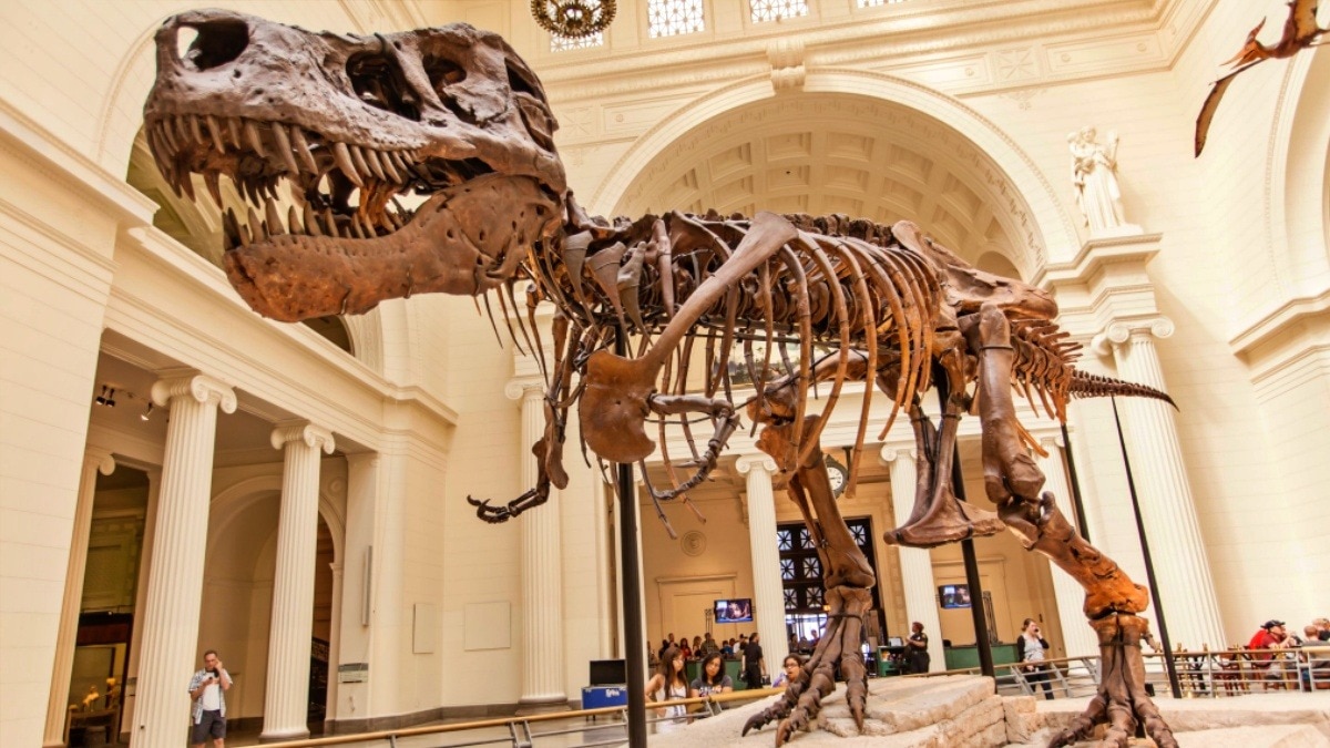 Tyrannosaurus rex, the king of dinosaurs, did not stop growing till the ...