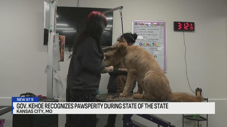 Pawsperity grooming program aids 190+ students in job success