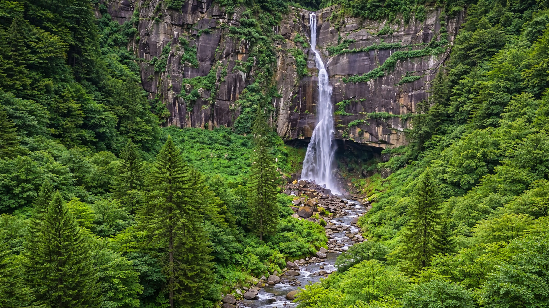 Manali waterfall surrounded by lush greenery