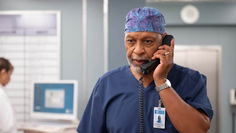 Grey's Anatomy season 22 episode 9 recap: Webber fights against a ...