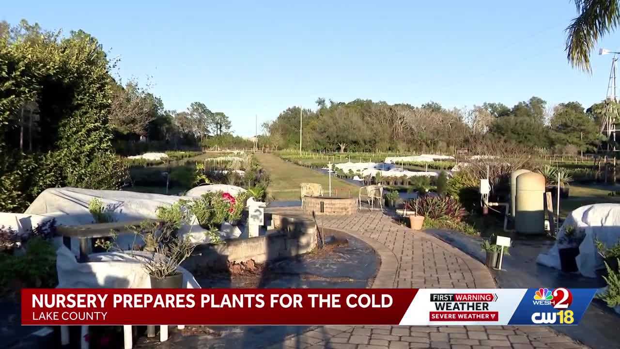 Lake County nurseries work to protect thousands of plants from frigid ...