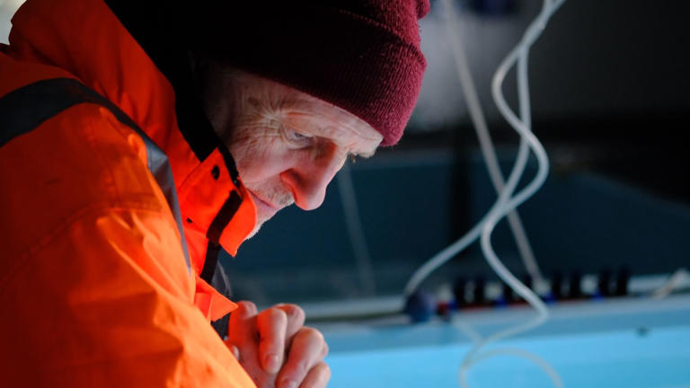 How a tiny change could tip the balance of life at the end of the world