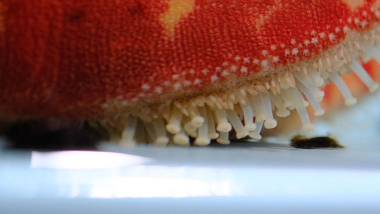 How a tiny change could tip the balance of life at the end of the world