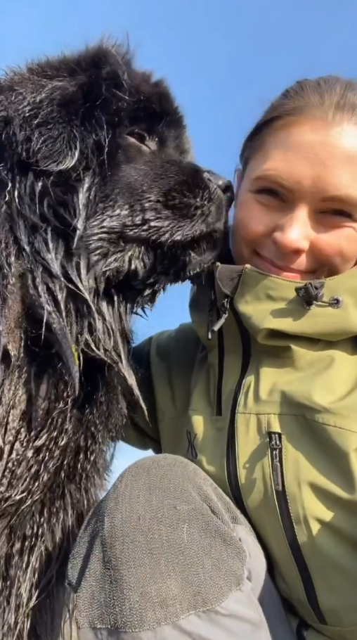 You & me in paradise: Sweet moments with my Newfoundland