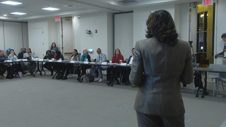 Metro Community Safety Task Force holds first meeting