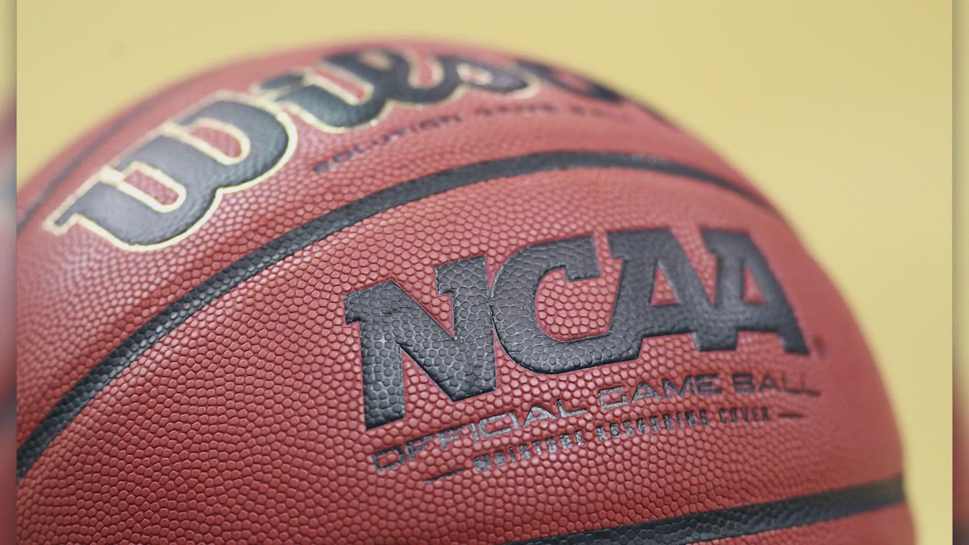 More than 20 people facing criminal charges after alleged NCAA rigging ...