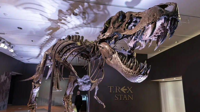Tyrannosaurus rex, the king of dinosaurs, did not stop growing till the ...