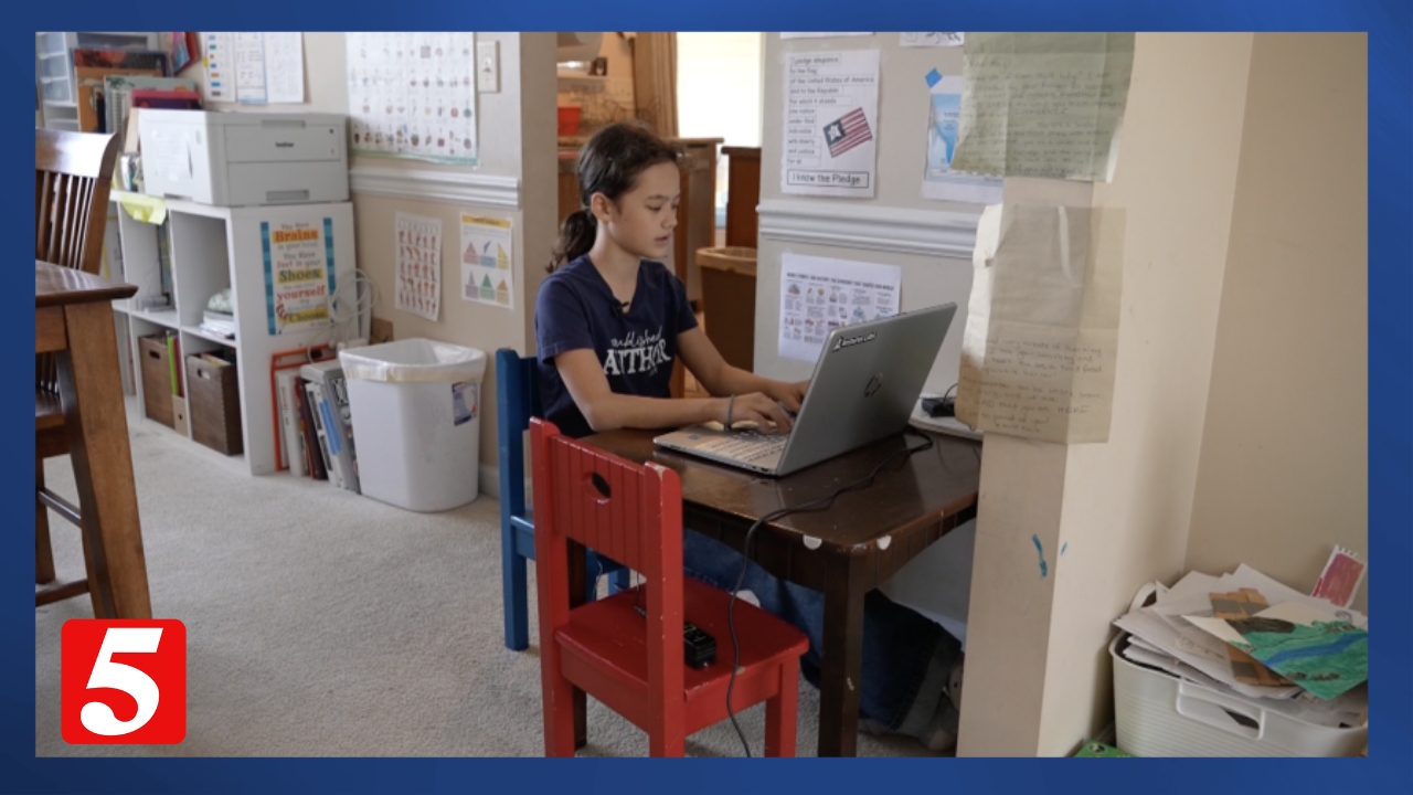 11-year-old author working on third book in Wilson County