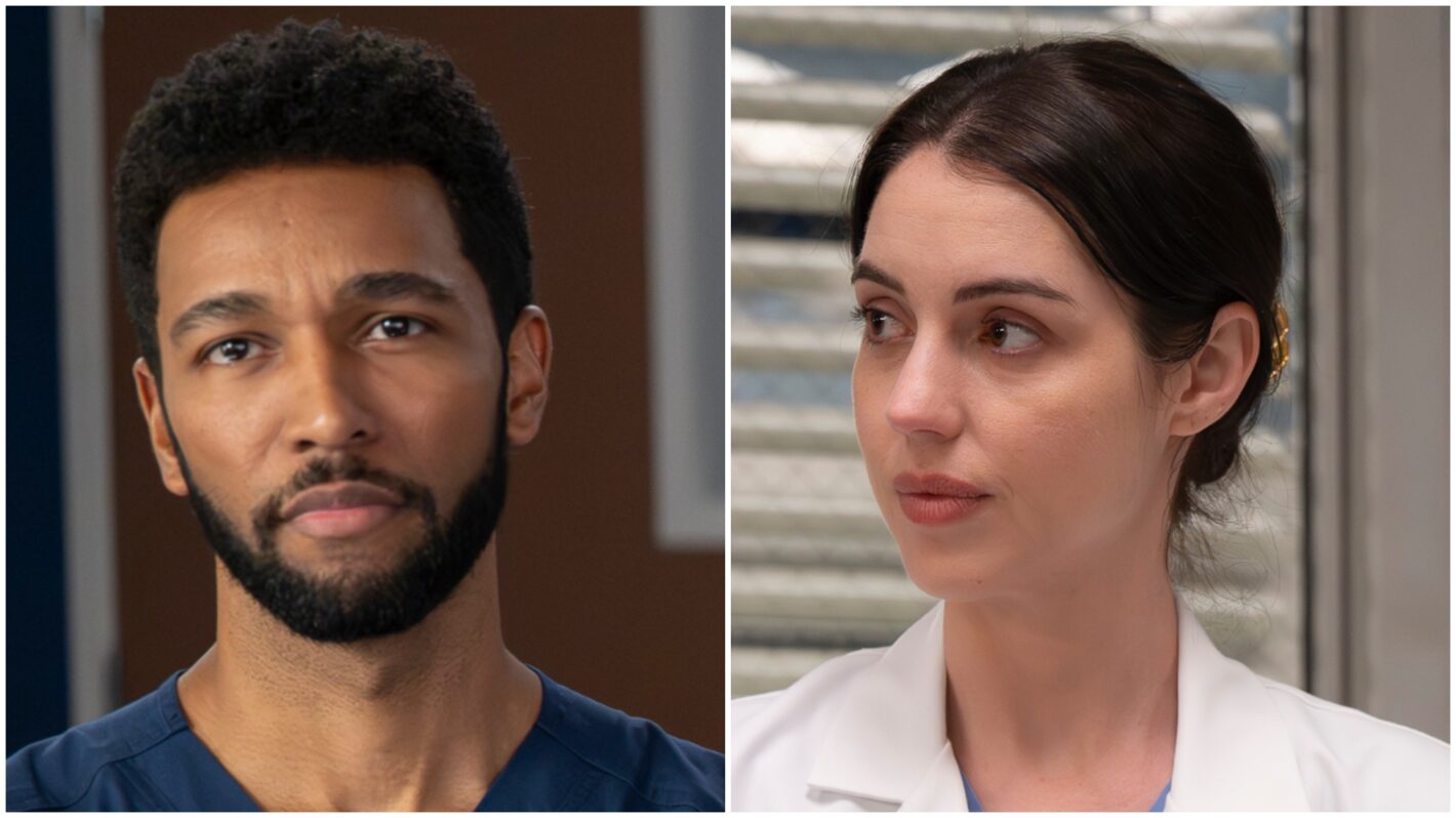 ‘Grey’s Anatomy’ finally answers the Millin & Ndugu question — are you ...