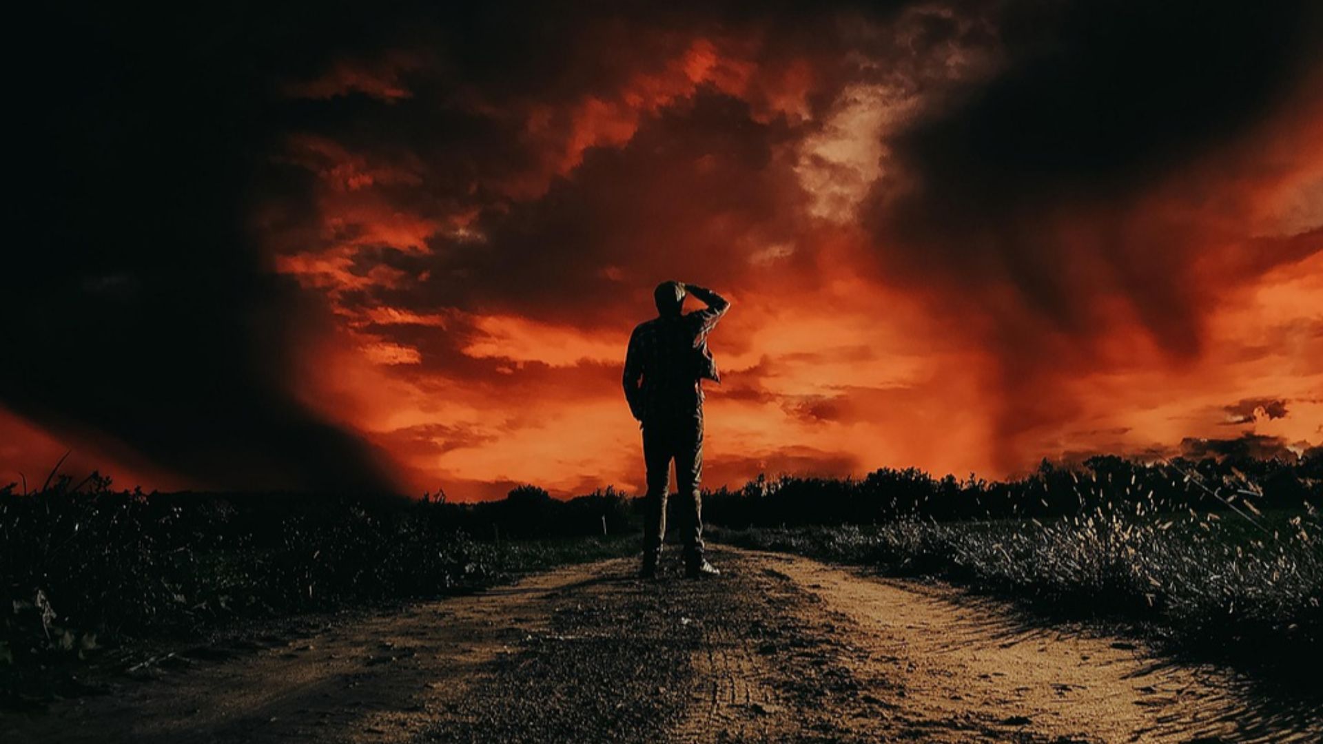 20 théories de fans qui étaient meilleures que l’histoire officielle