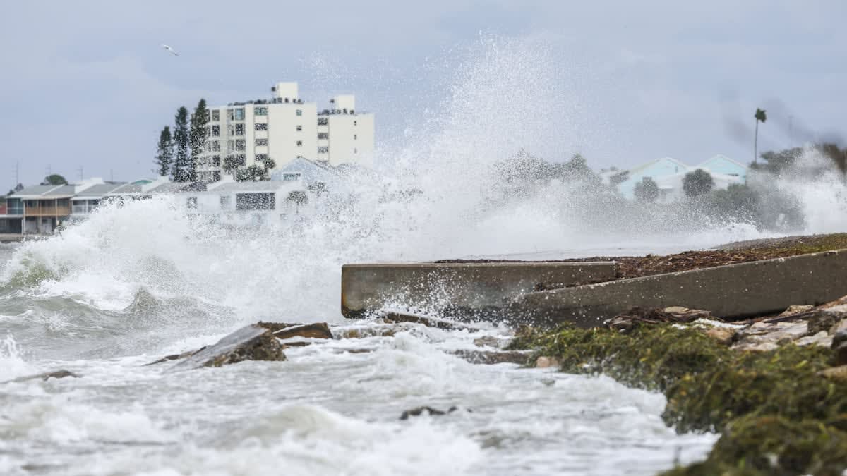 How cold will Tampa Bay get? And is snow in Florida’s forecast?