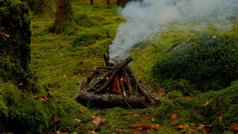Scientists discovered evidence of fire-making by early humans nearly ...