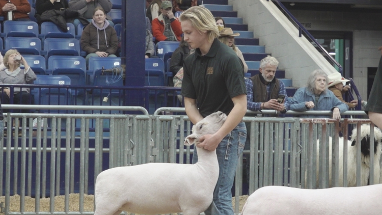 PA Farm Show sparks youth interest in agriculture, aims to cultivate ...
