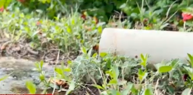 Gray water irrigation: A water conservation tip