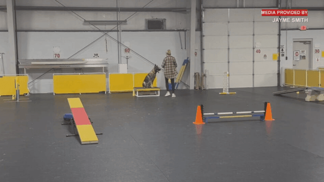 Tri-State high school introduces therapy dog to aid students in crisis