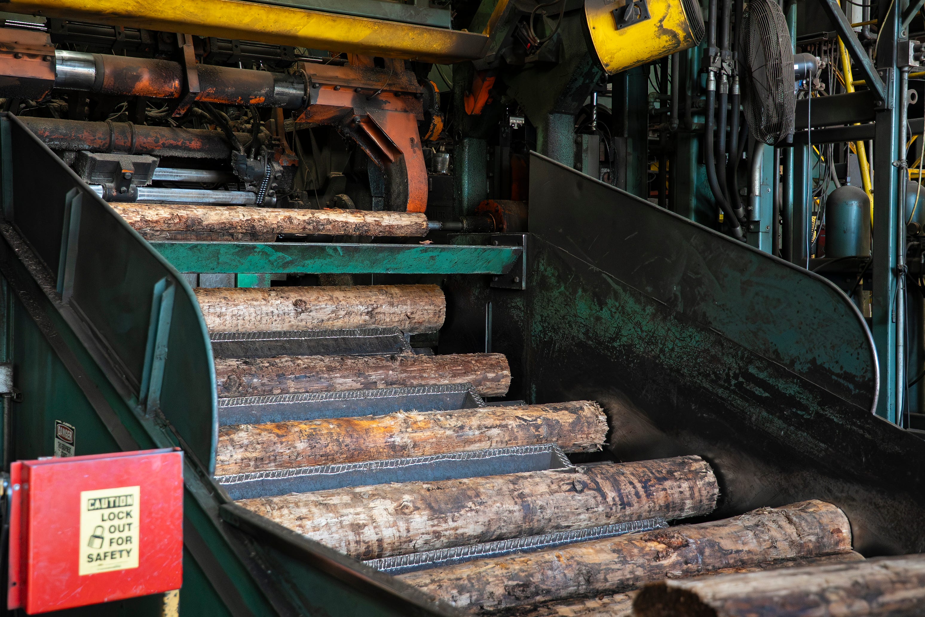 Federal judge blocks 3 Oregon timber sales and strikes down 'loophole'