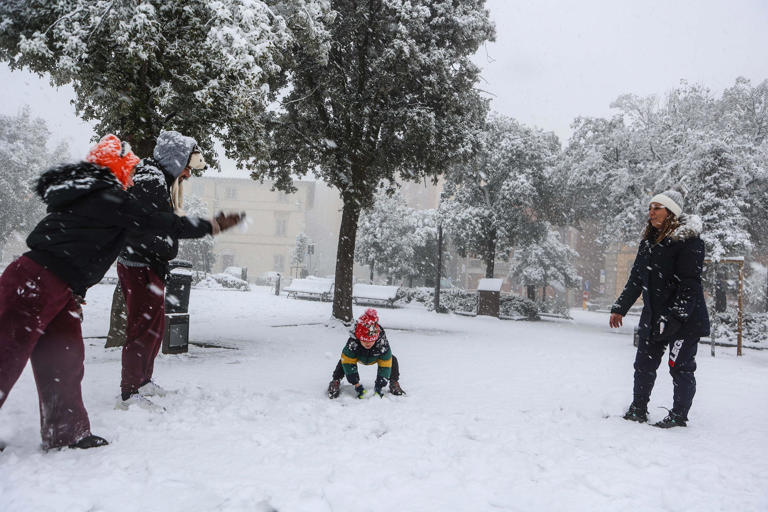 La neve rigenera i campi. “Una risorsa autentica, nemica dei parassiti ...