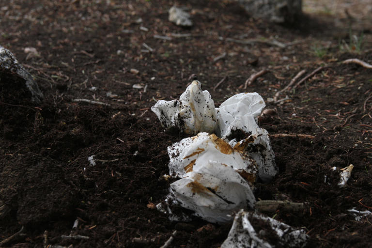 After EPA finds chart-topping fecal bacteria in Lonesome Lake, state ...