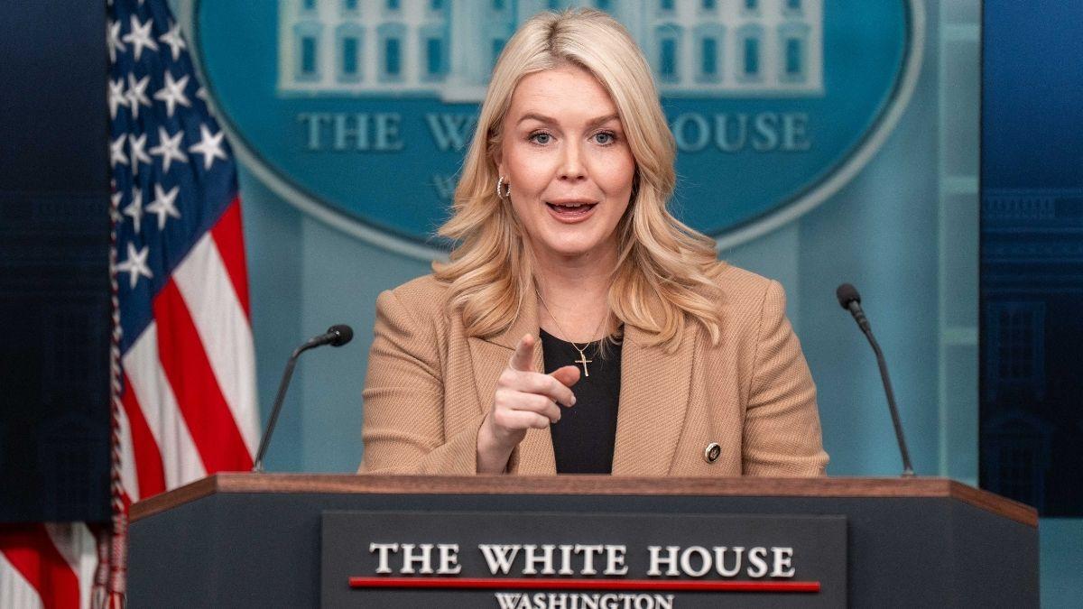 Fuming Karoline Leavitt loses it on reporter questioning fatal ICE ...