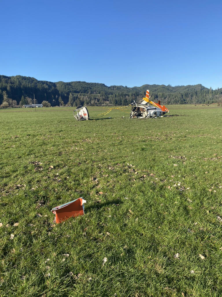 Helicopter crashes into cow pasture in Lincoln County; pilot injured