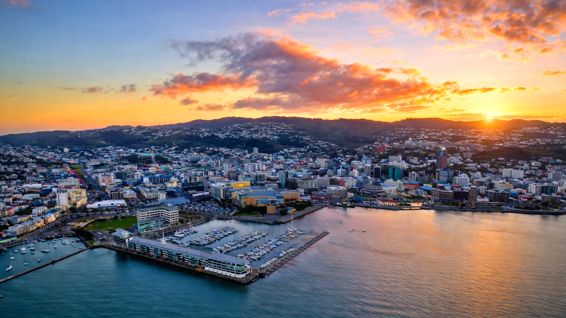 Wellington city beside the harbour at sunset