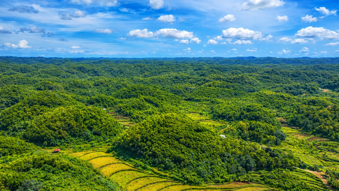 Endless green hills of the tropics