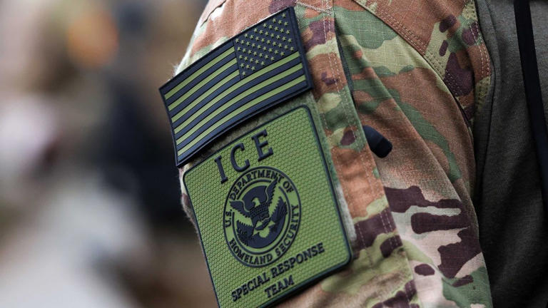 ICE deputy quits to run for Congress against 40-year Dem incumbent