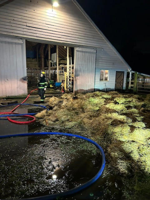 Photos: Crews rescue two-week-old calf from burning barn in Washington