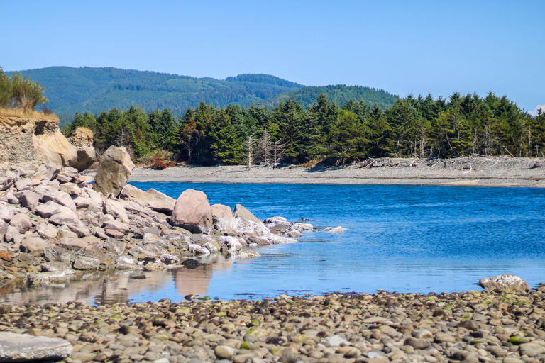 Skeletal remains that washed up on Washington beach identified as ...