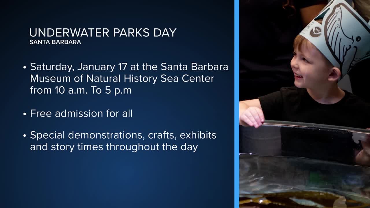 From bird watching to basketball legends, here are 6 fun weekend events