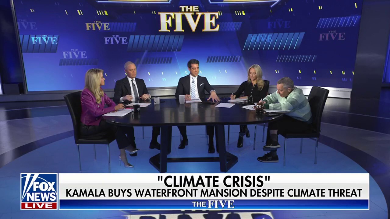 Kamala Harris traded 'Kamalot' for 'Kam-a-Lago': Kayleigh McEnany