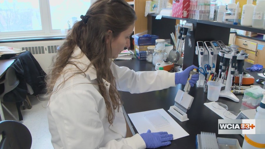 Cancer Center at Illinois researchers discover link between cholesterol ...