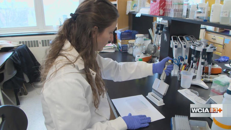 Cancer Center at Illinois researchers discover link between cholesterol ...