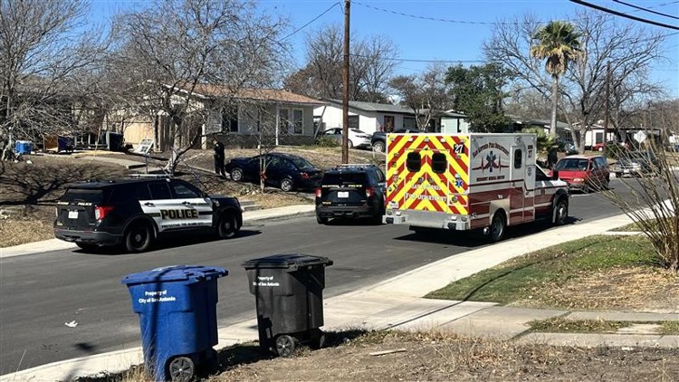 Woman hospitalized after being attacked by 2 dogs in San Antonio, ACS says