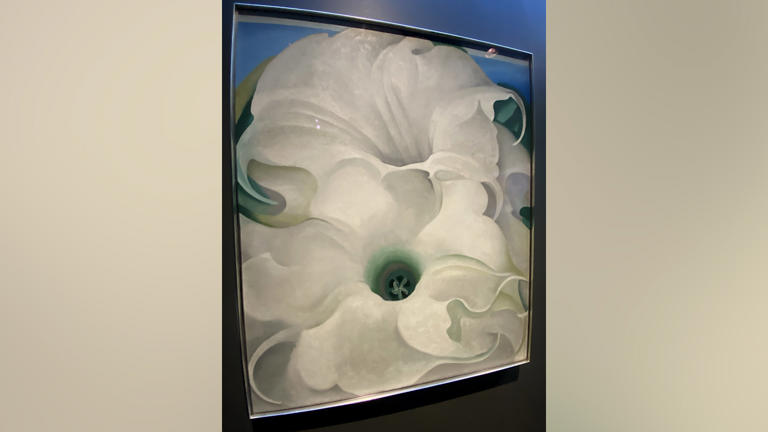 ‘Pluribus’ star Rhea Seehorn talks twists and turns on hit sci-fi thriller