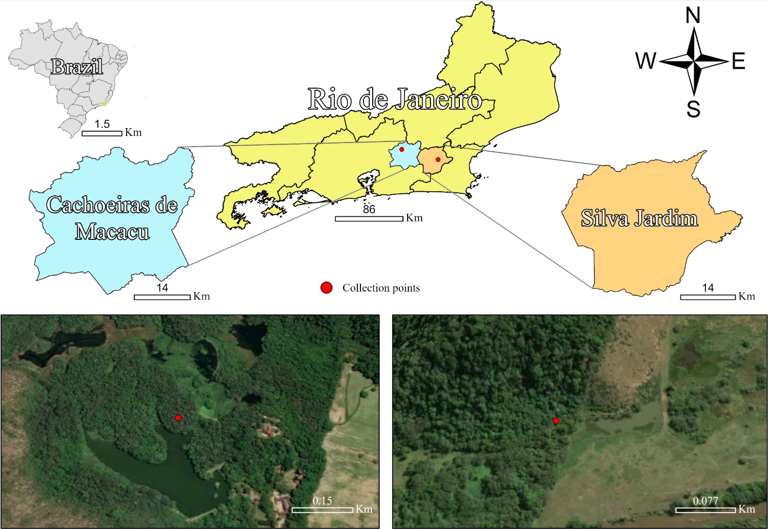 Troubling mosquito trend emerges as Aussies spend more time outdoors ...