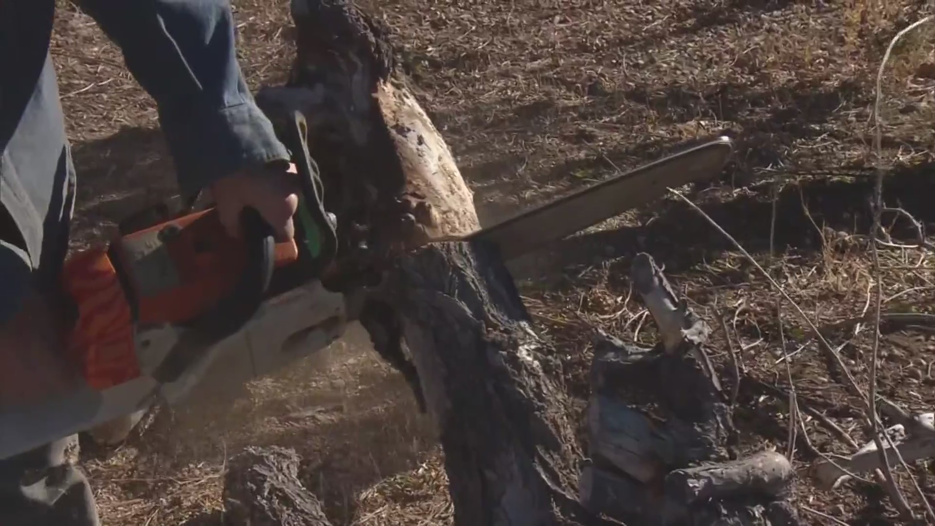 Coloradans prepare for high fire danger, shutoffs on Friday