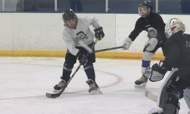 Mid-State Mustangs 10u advances to International Silver Stick Finals