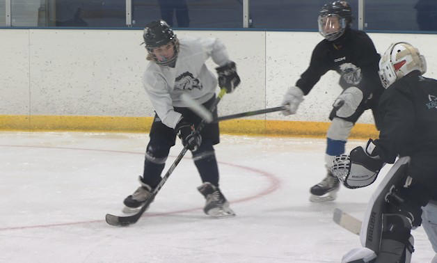 Mid-State Mustangs 10u advances to International Silver Stick Finals