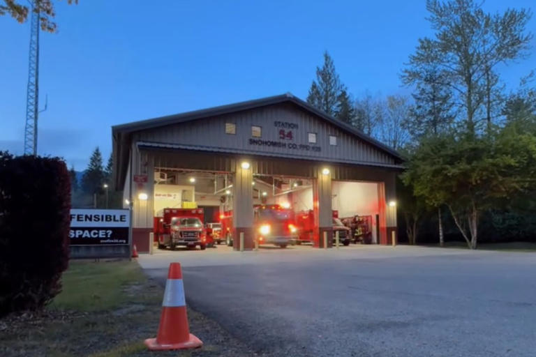 Six puppy dogs suffer near-fatal fentanyl overdose in shocking fire ...