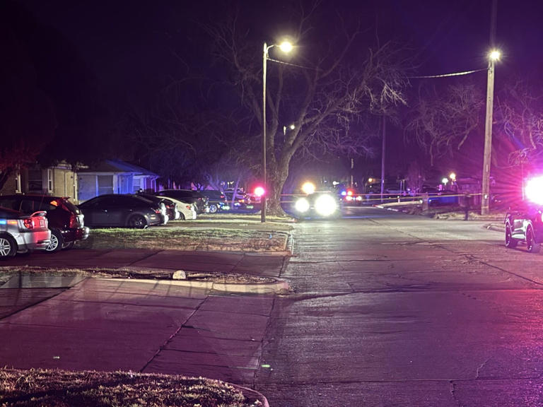 Man critically injured in shooting near Harry and Edgemoor