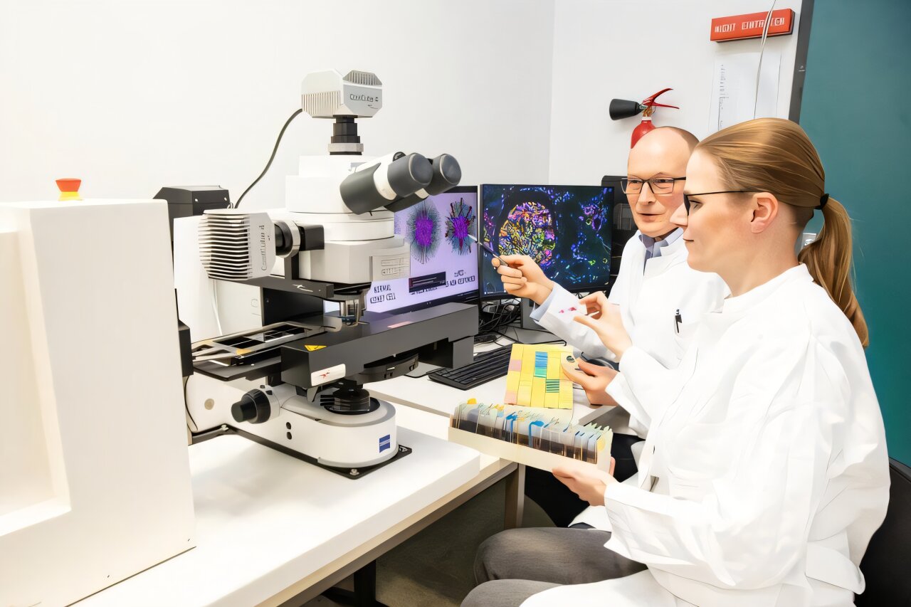 Sugar structures on kidney cells predict immune therapy response, study ...