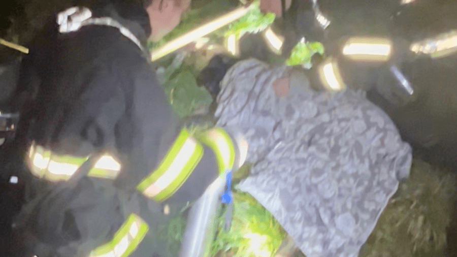 Photos: Crews rescue two-week-old calf from burning barn in Washington