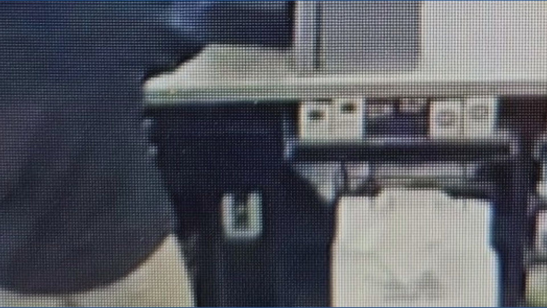 Person of interest named in disappearance of 21-year-old Avondale woman