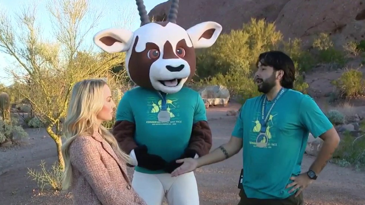 Runners to 'Move & Groove' through Phoenix Zoo for conservation fundraiser