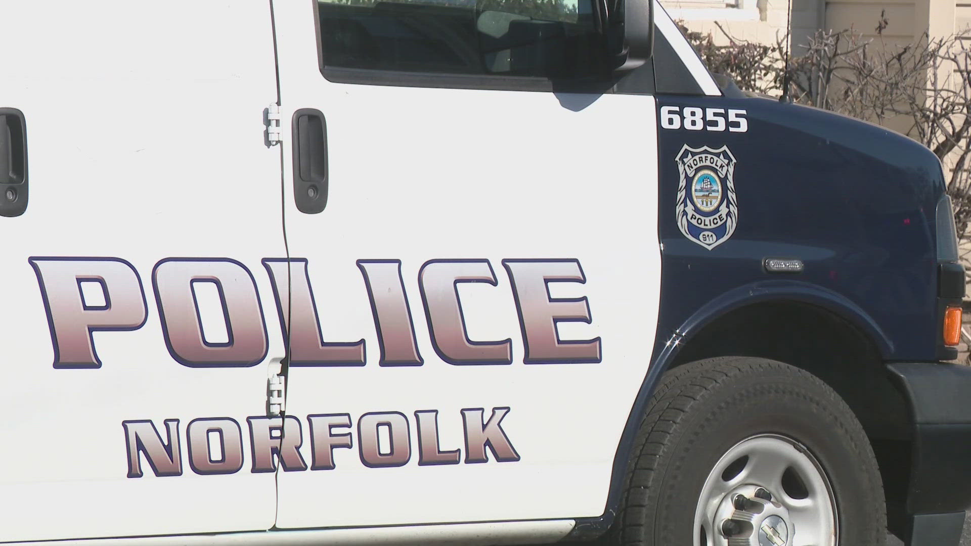 Court docs: How a 3-year-old accidentally shot himself