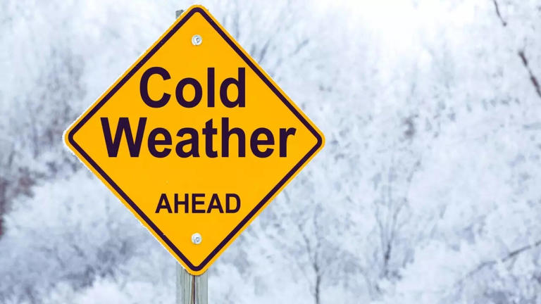 What's the weather today: Cold wave and dense fog to grip Delhi and ...